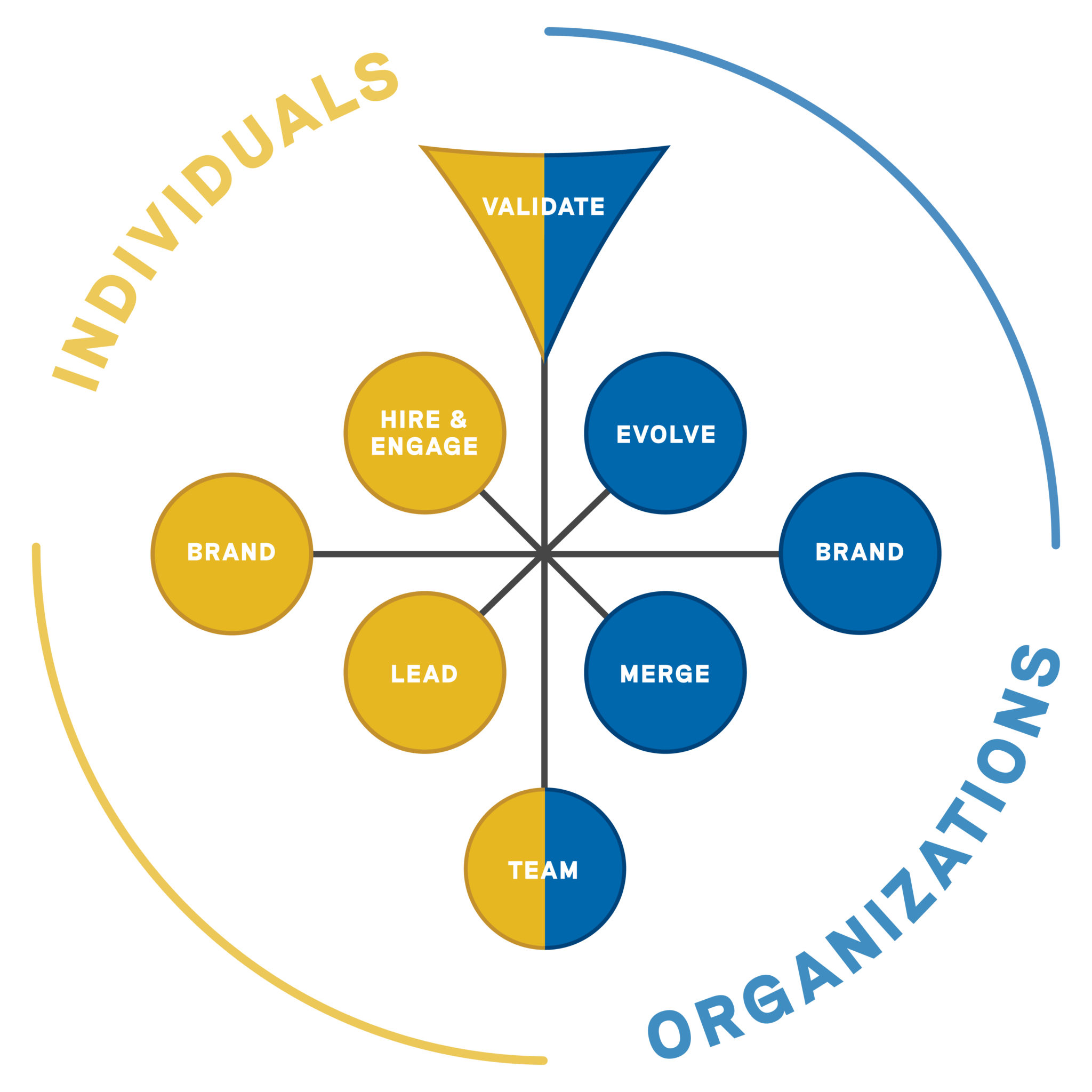Culture Design & Transformation – Certification | CultureTalk